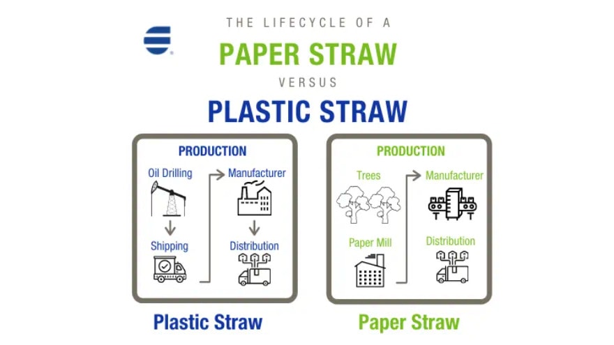 Paper Straw Lifecycle | Adhesives manufacturing company